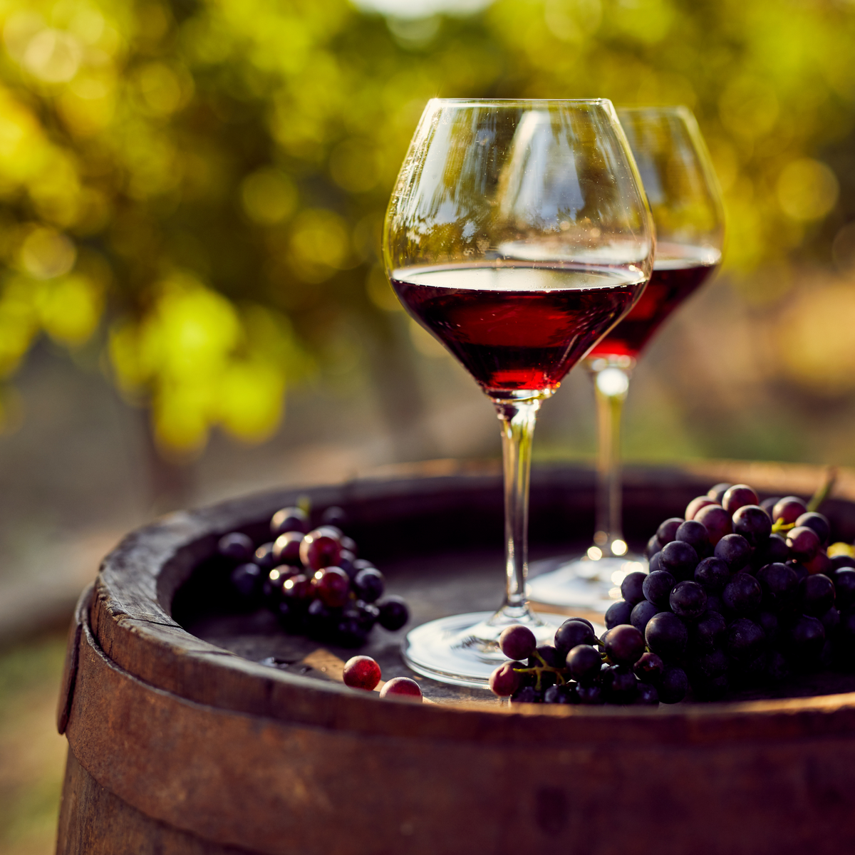 Migliori Vini Rossi Svizzeri | Matasci – Matasci Vini SA